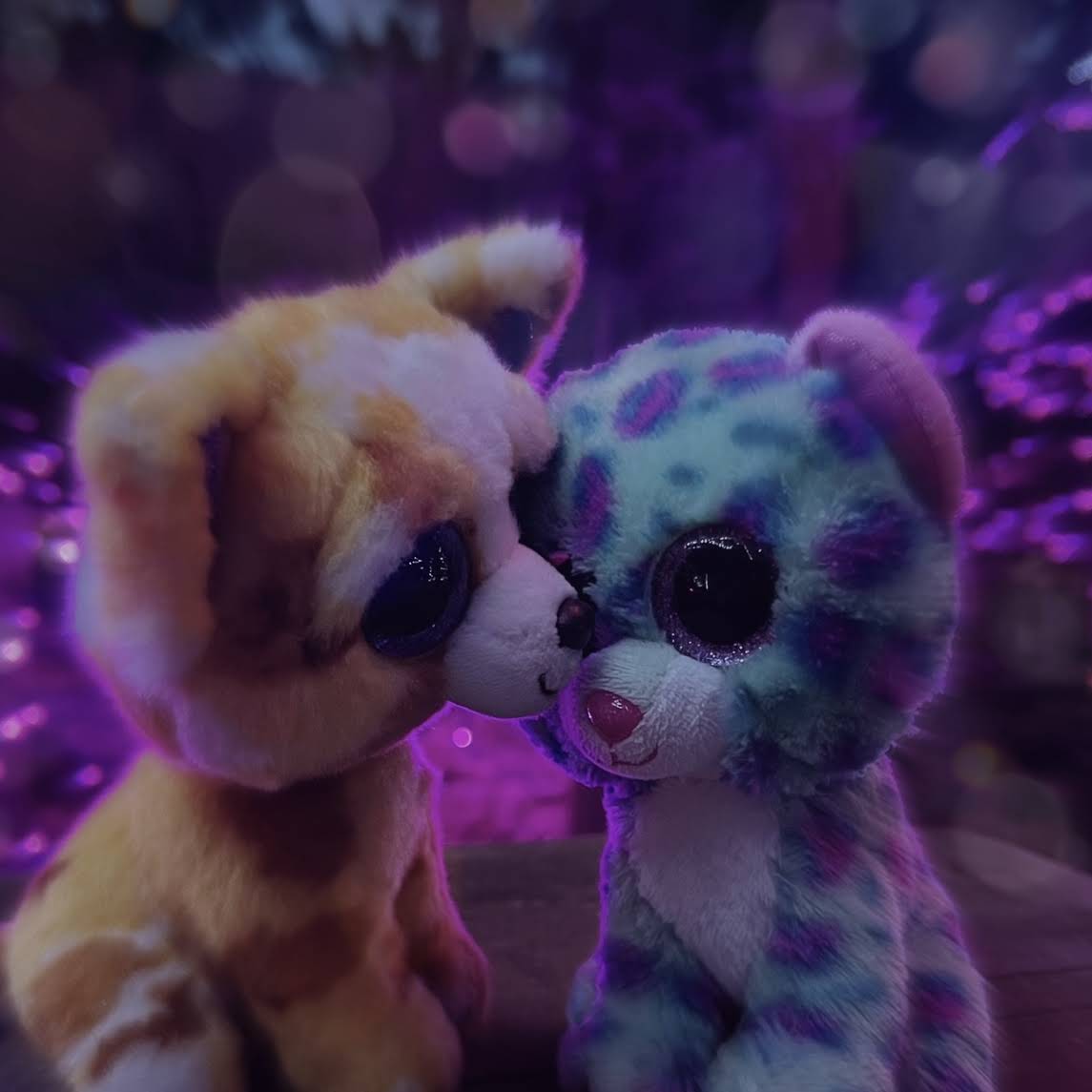 Post from Beanie Boo Wolf