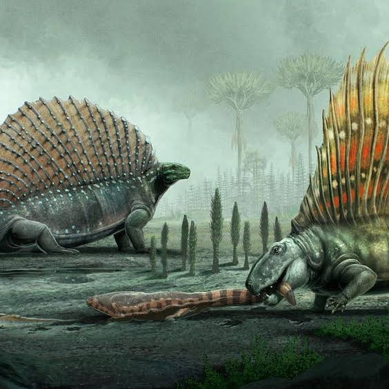 Post from Dizzy Rose