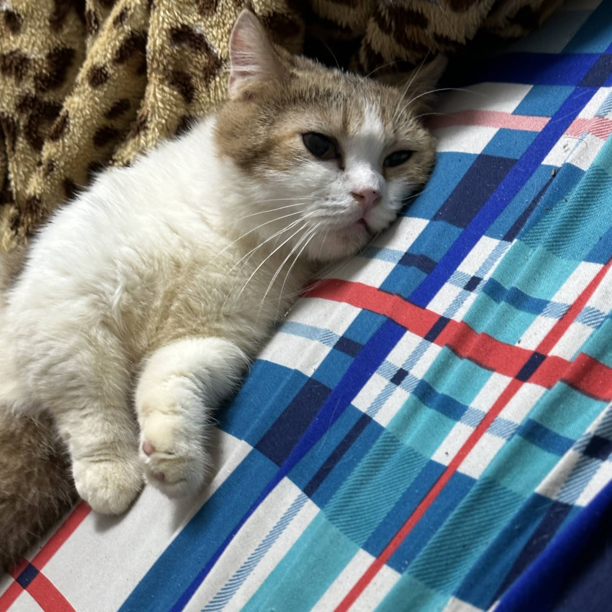 Post from ROD Min TV