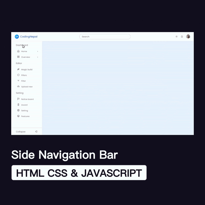 Post from CodingNepal