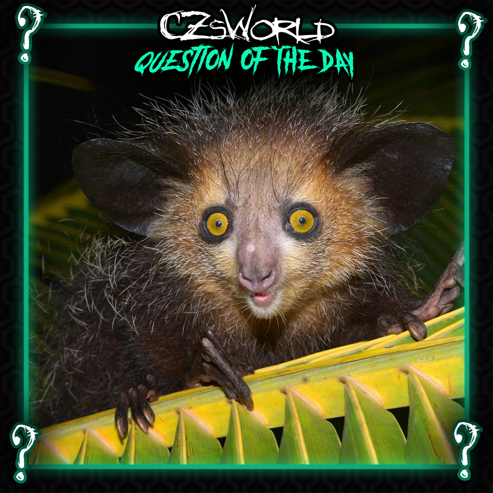 Post from CZsWorld