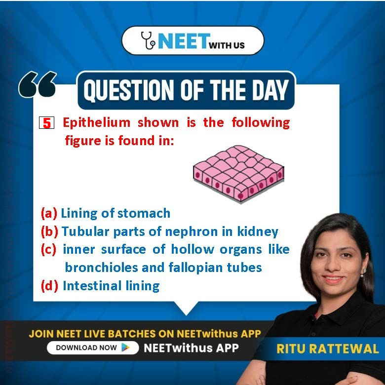 Post from Biofairy Ritu Rattewal