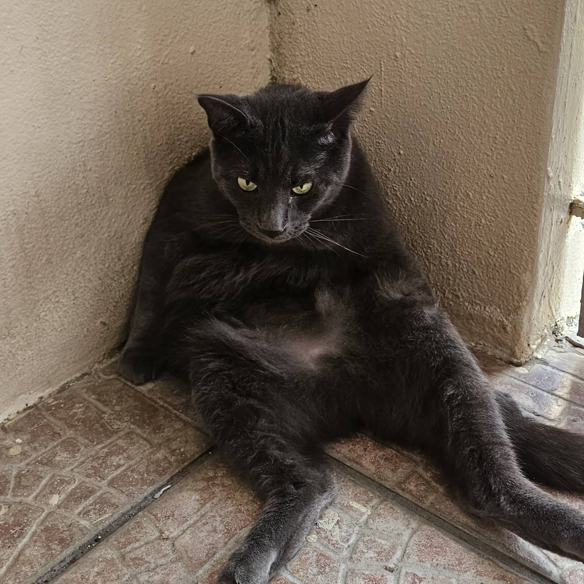 Post from MangoAndEdcraft