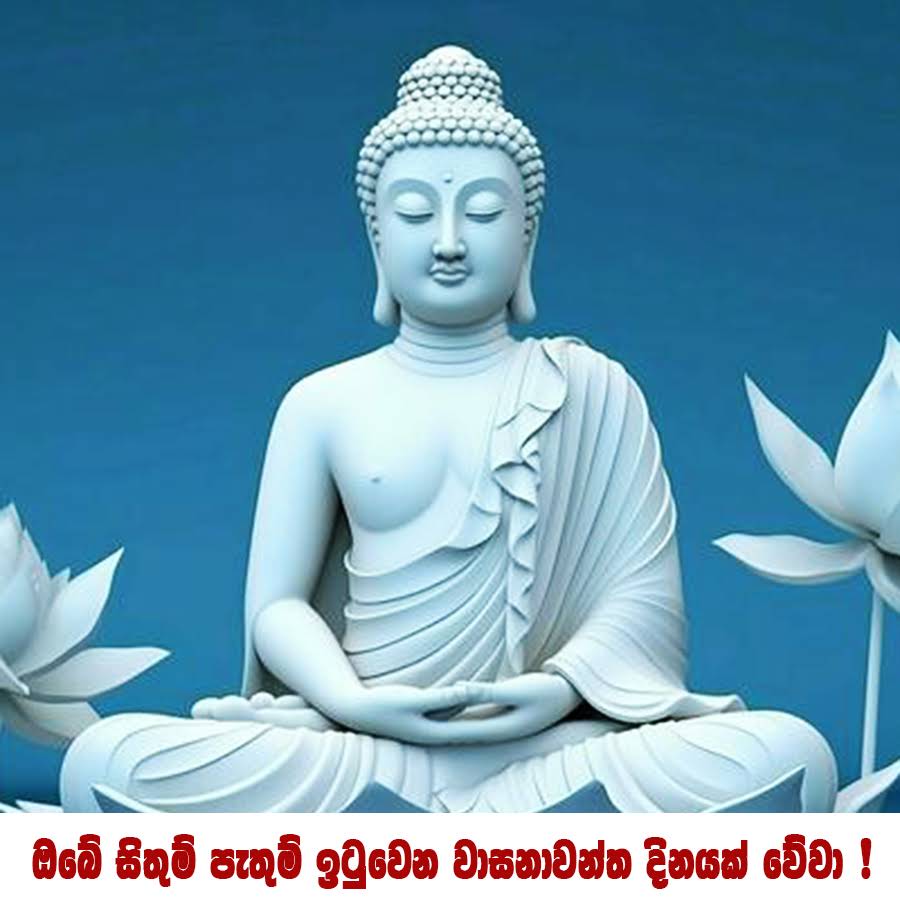 Post from lakshitha vlogs