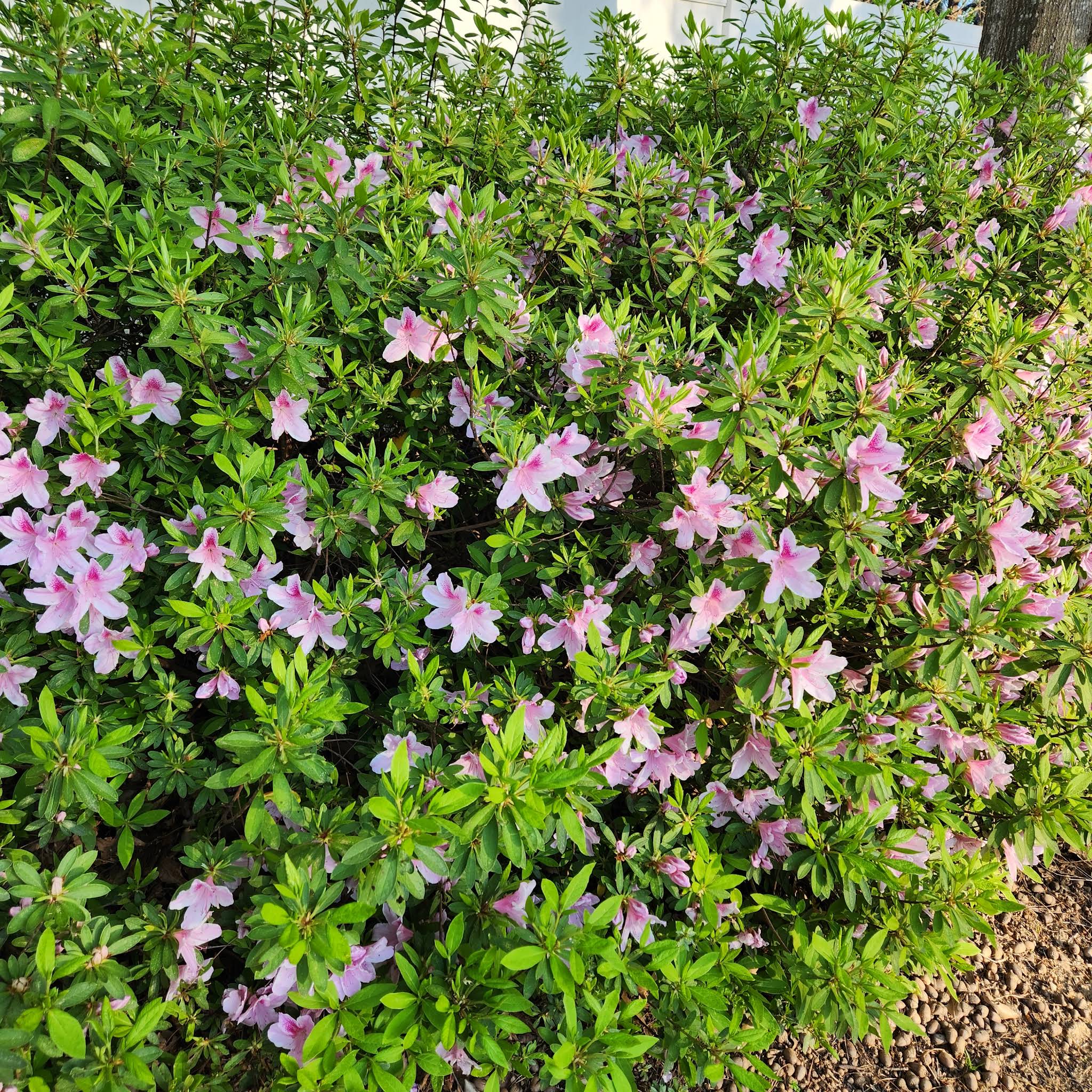 Post from Savage Divinity 🌻