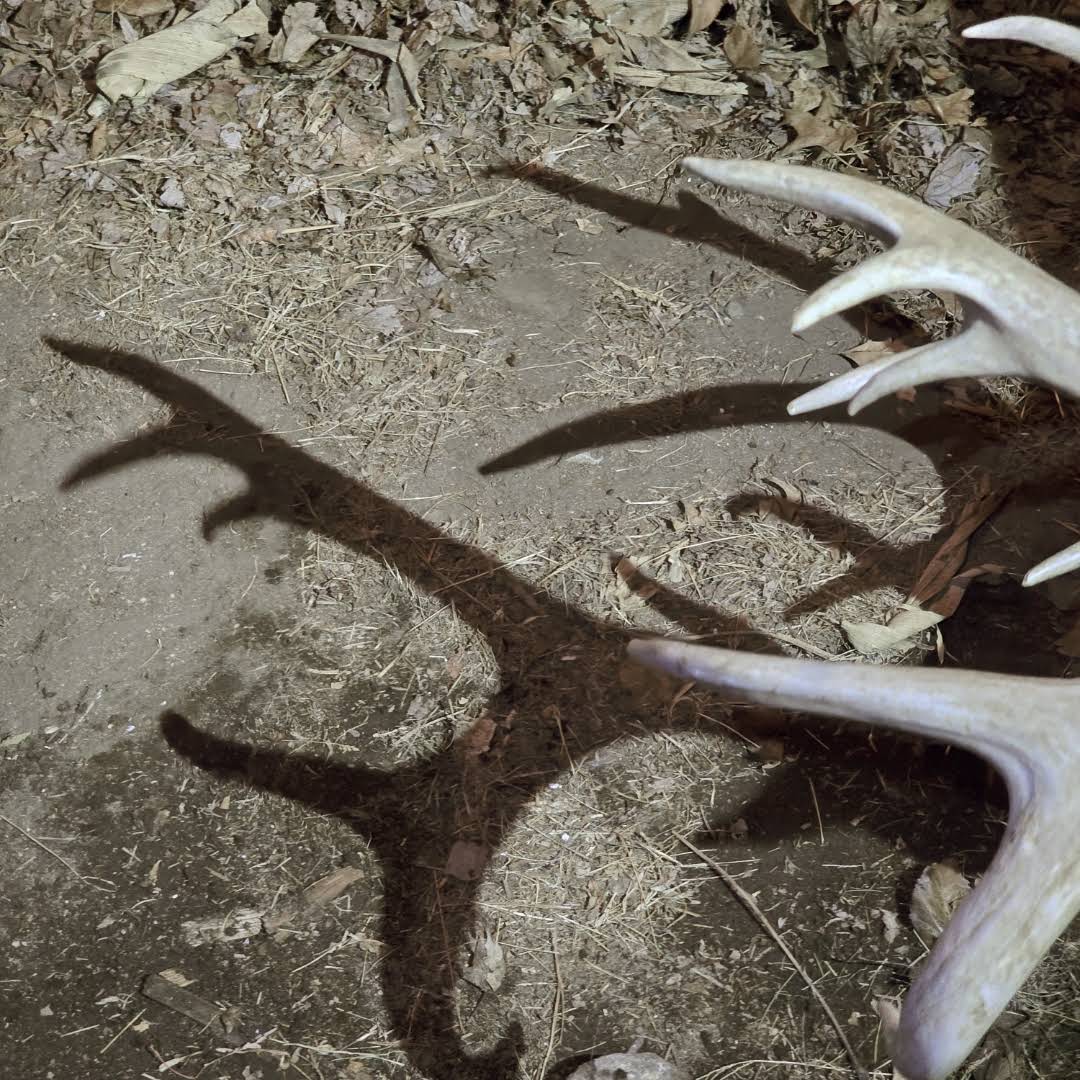 Post from Kaitlyn Maus Outdoors
