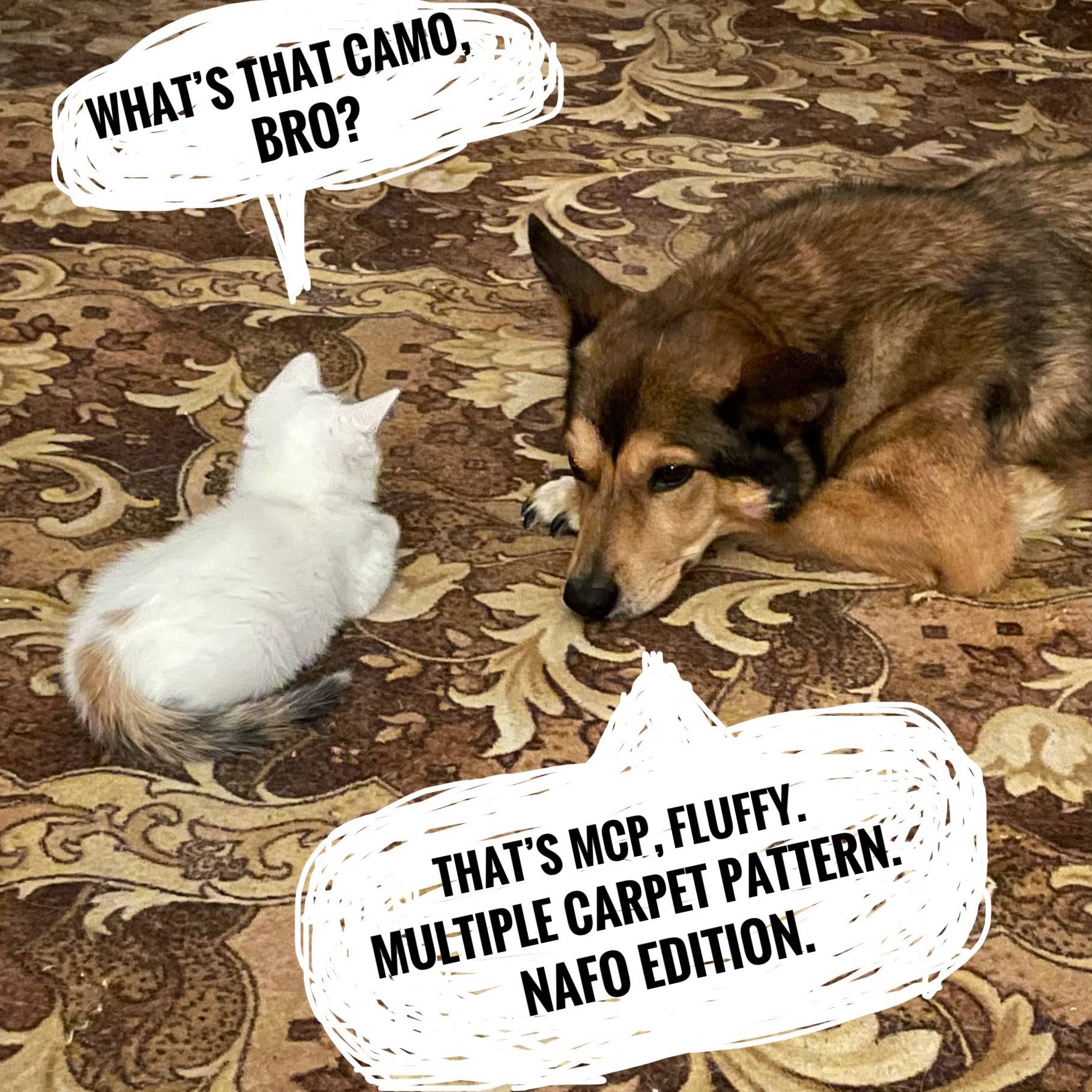 Post from Operator Starsky 🇺🇦