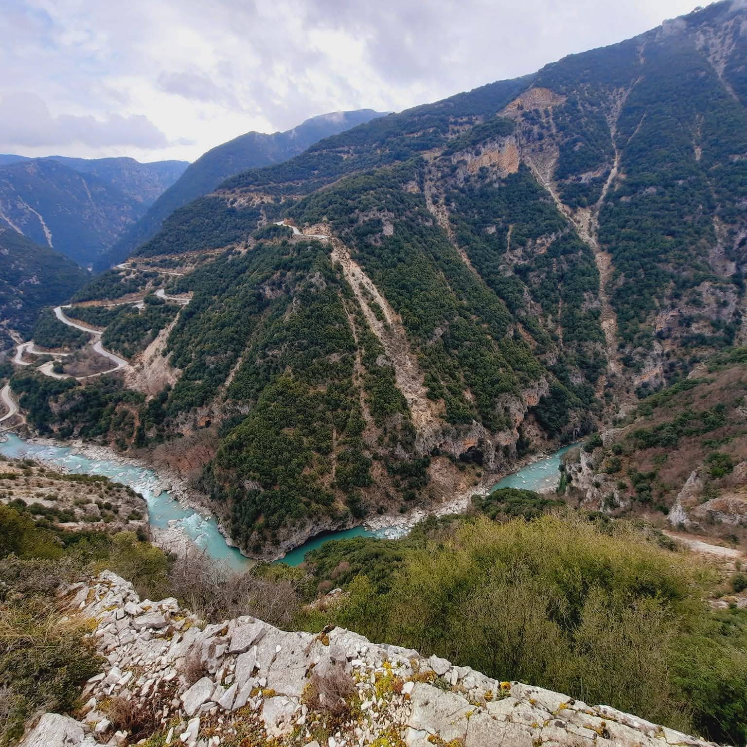 Post from Φάρμα "Η Ράχη" - Farm "Raxi" Greece