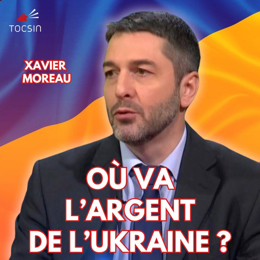 Post from BERCOFF sur le vif ! — TOCSIN