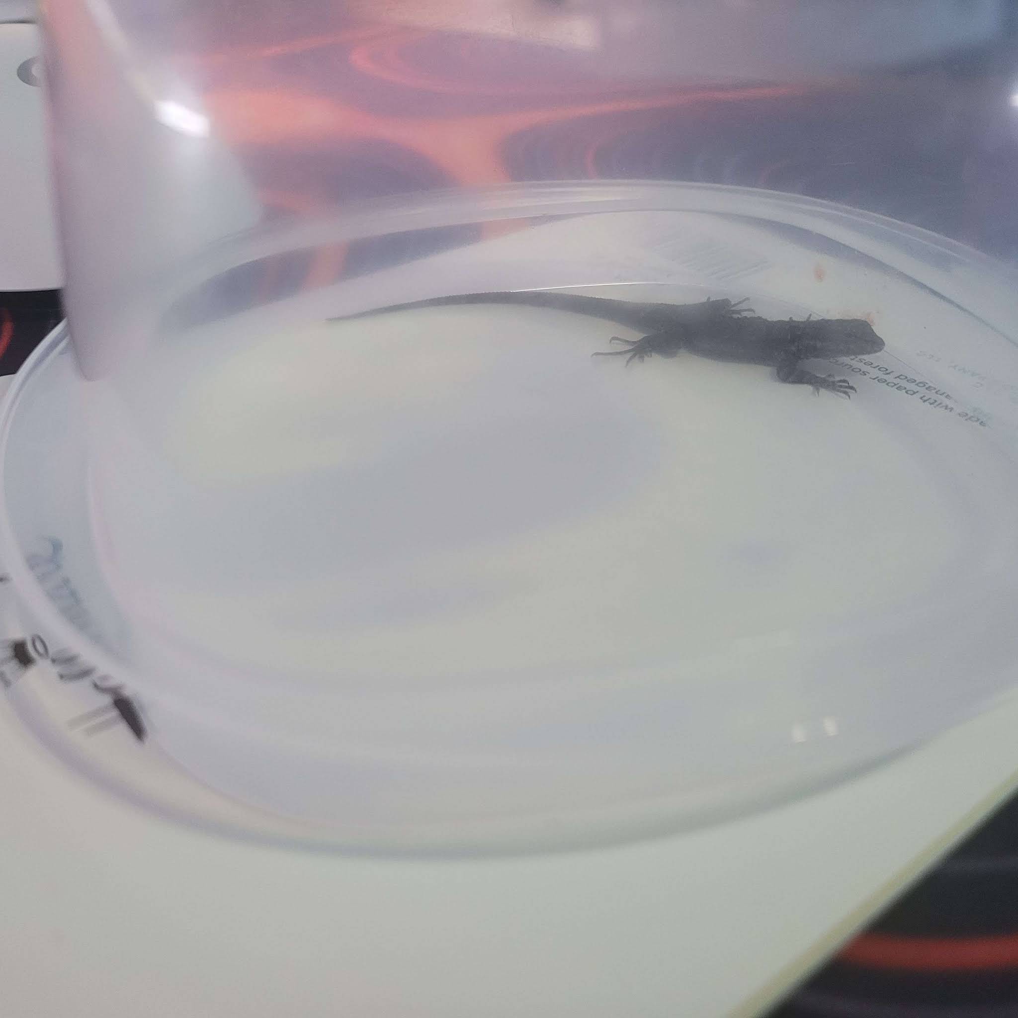 Post from Beautiful OB