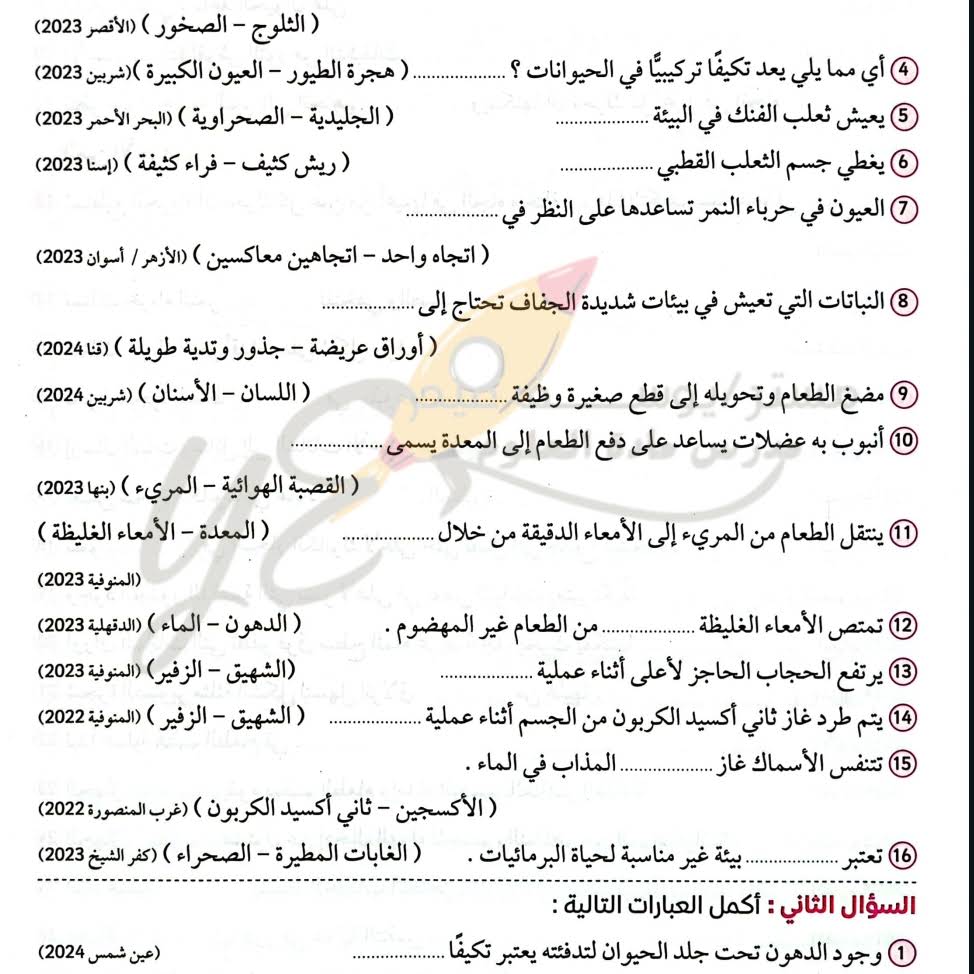 Post from Mr Youssef Eid