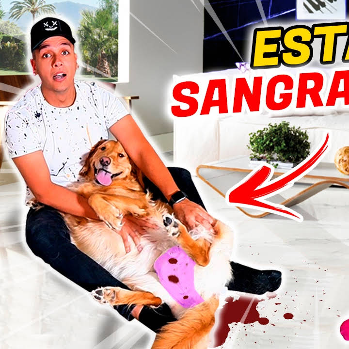 Post from Daniel CYK