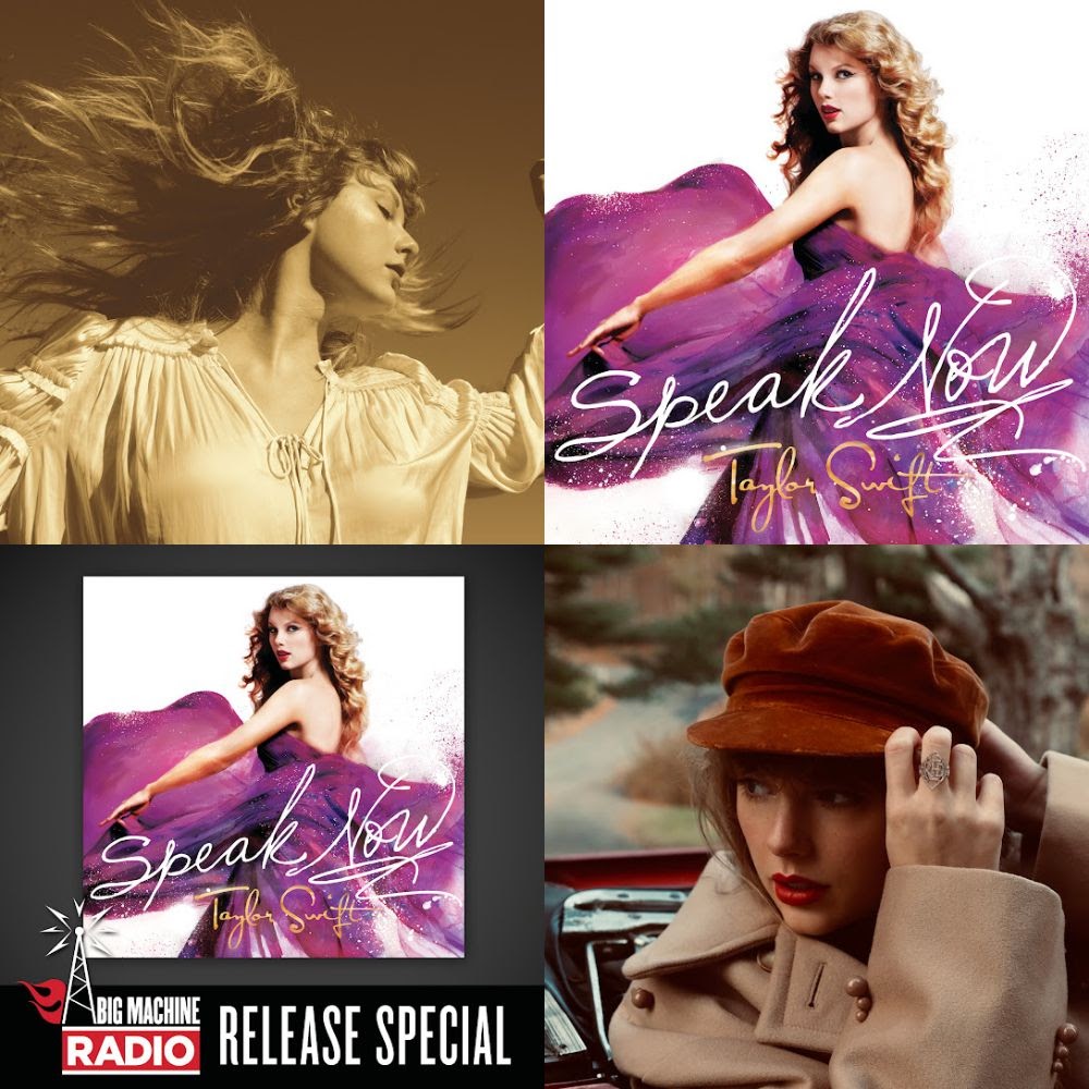 Taylor Swift: Best Bridges