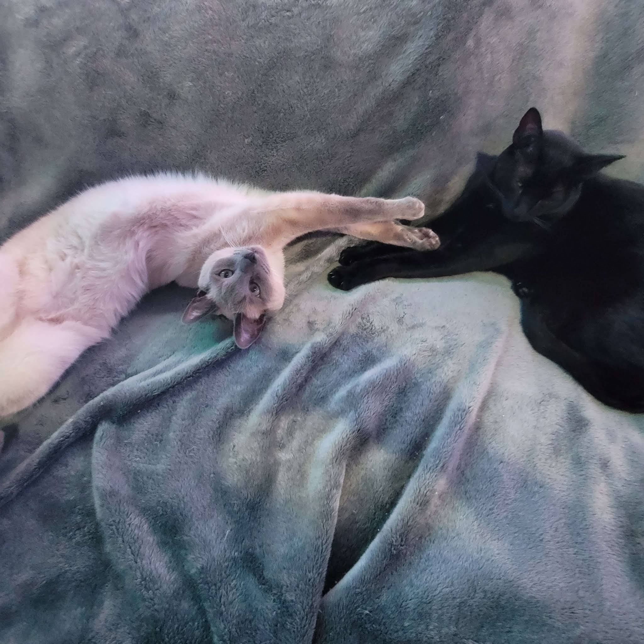 Post from Beautiful OB