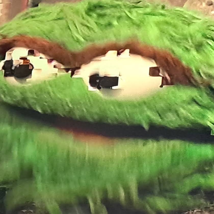 Post from Alec Gunter