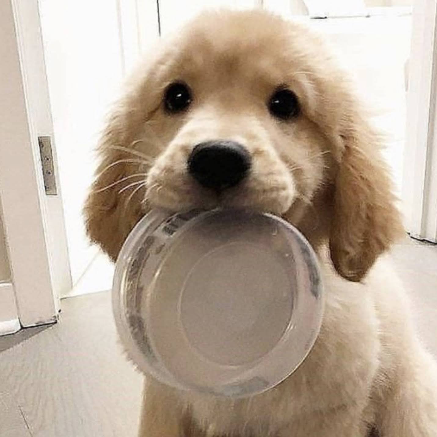 Post from Jake Sweet