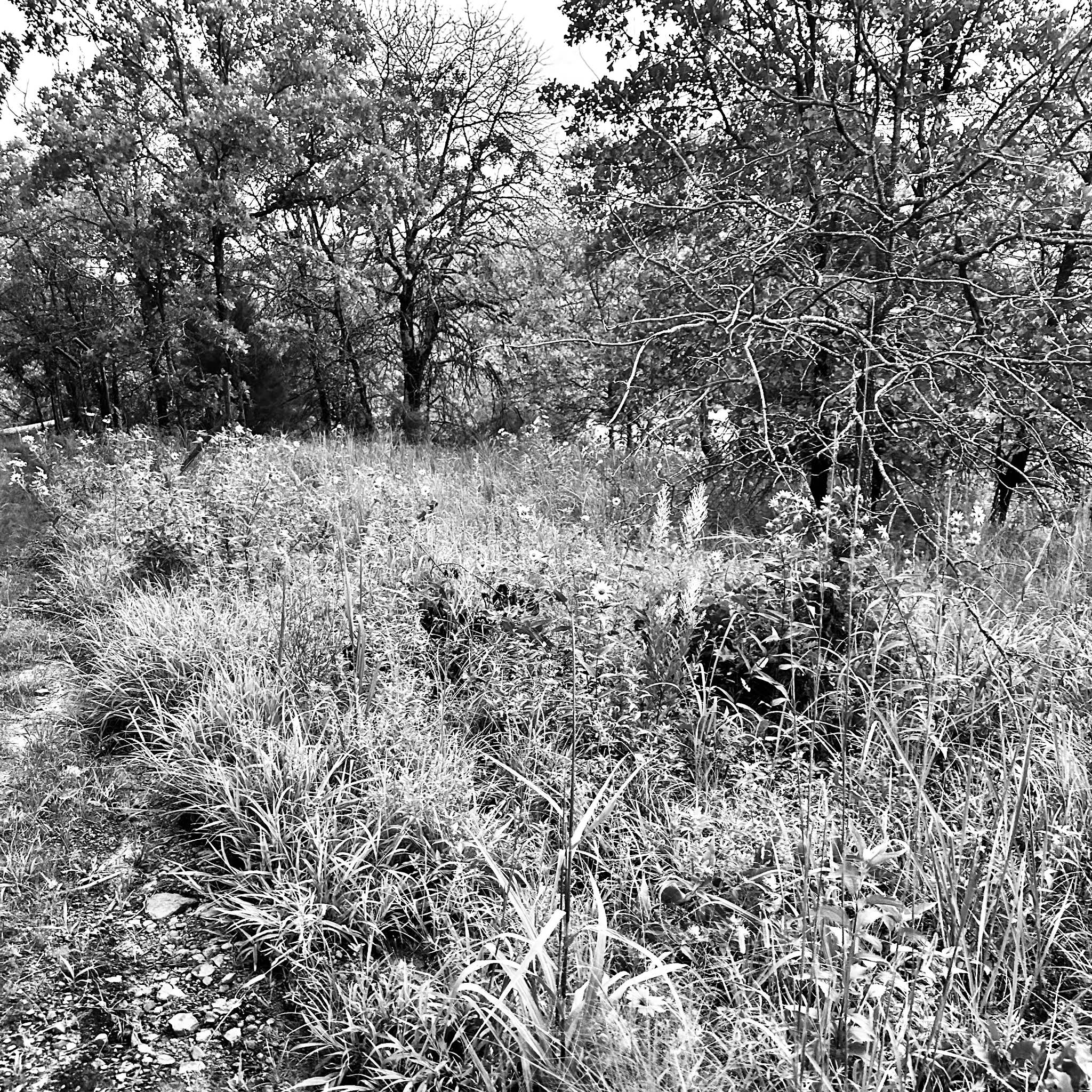 Post from Milton Math Games Archive