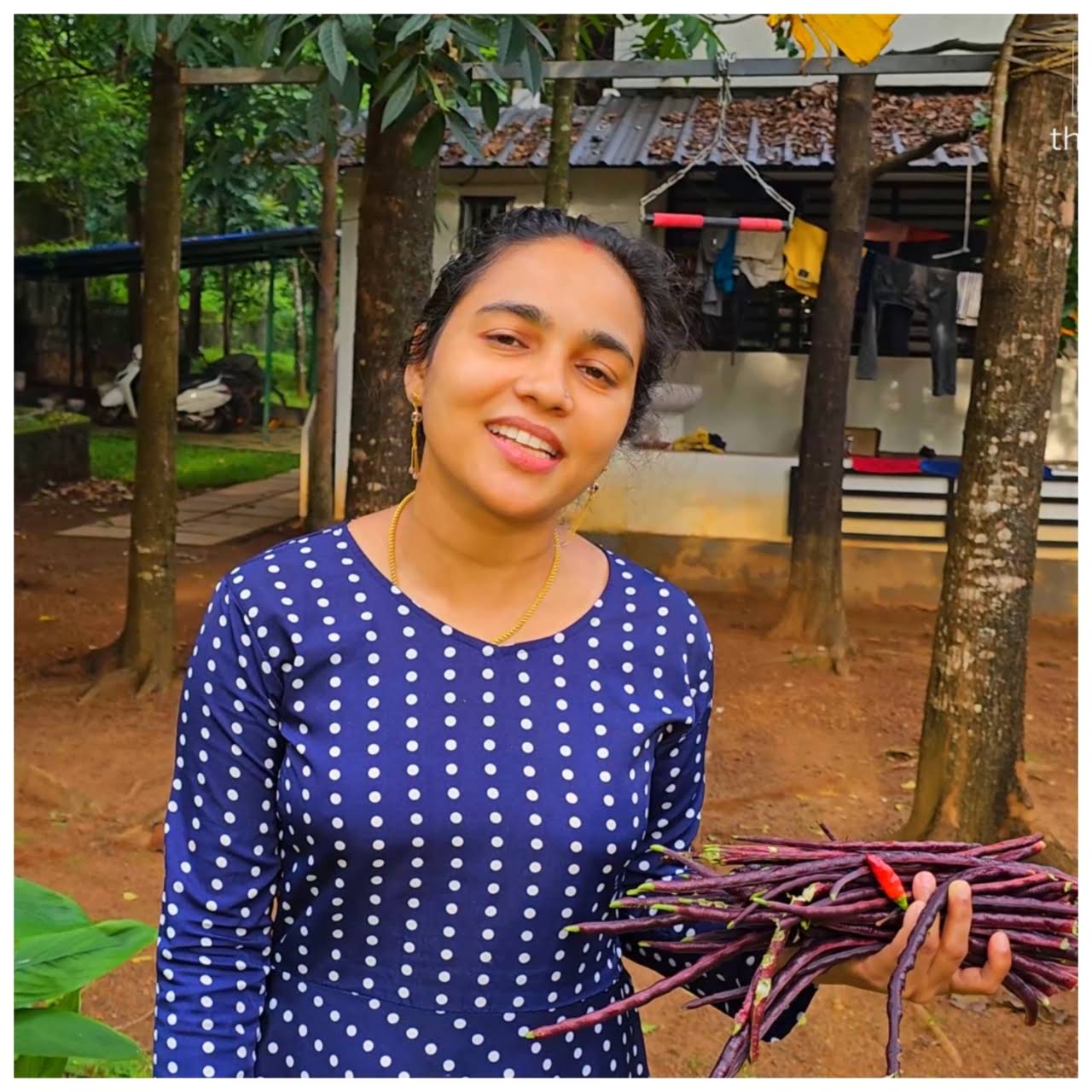 Post from AJU'S WORLD - The Real Life Lab