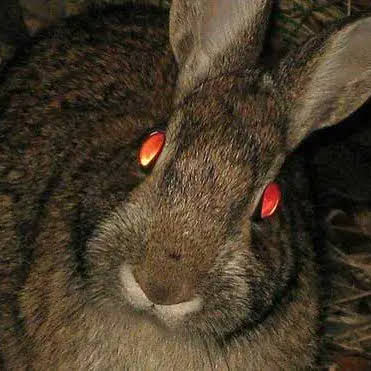 Post from Let the monsters in w/Ryan Tremblay