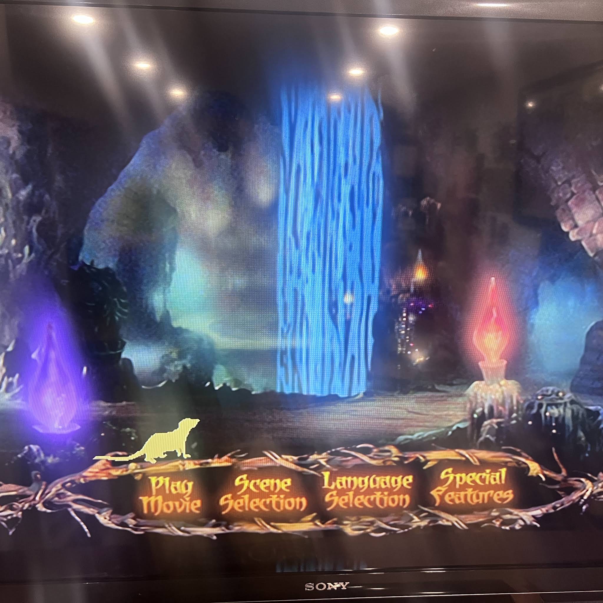 Post from Magical Matt Disney writer Fan