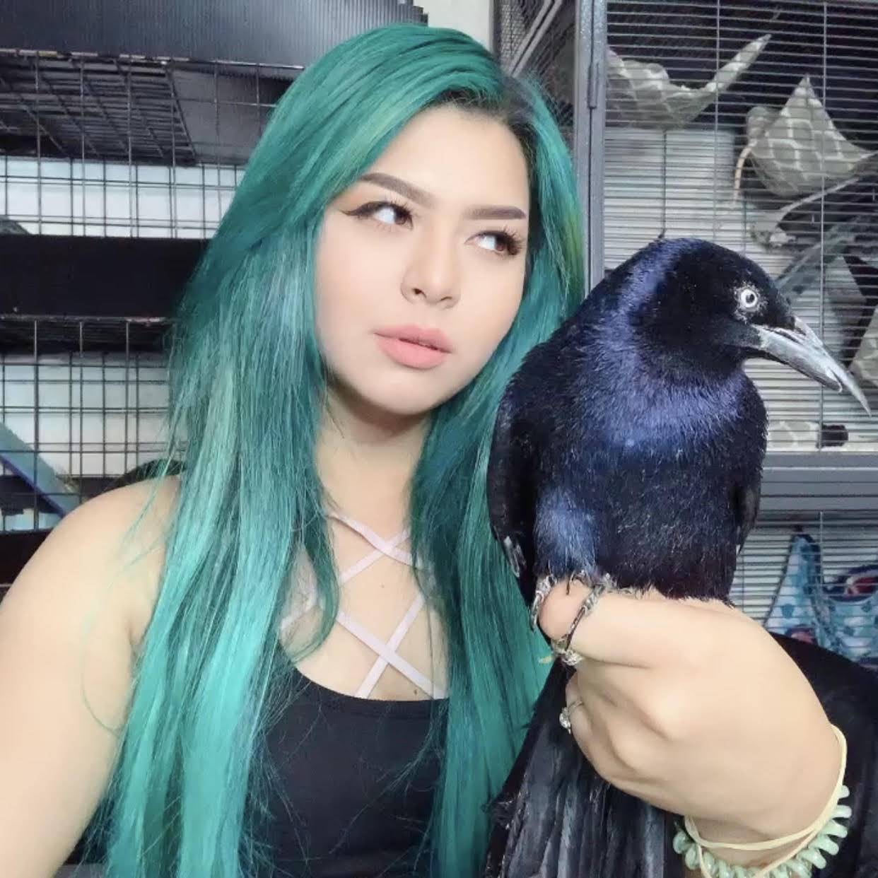 Post from Steff J MX