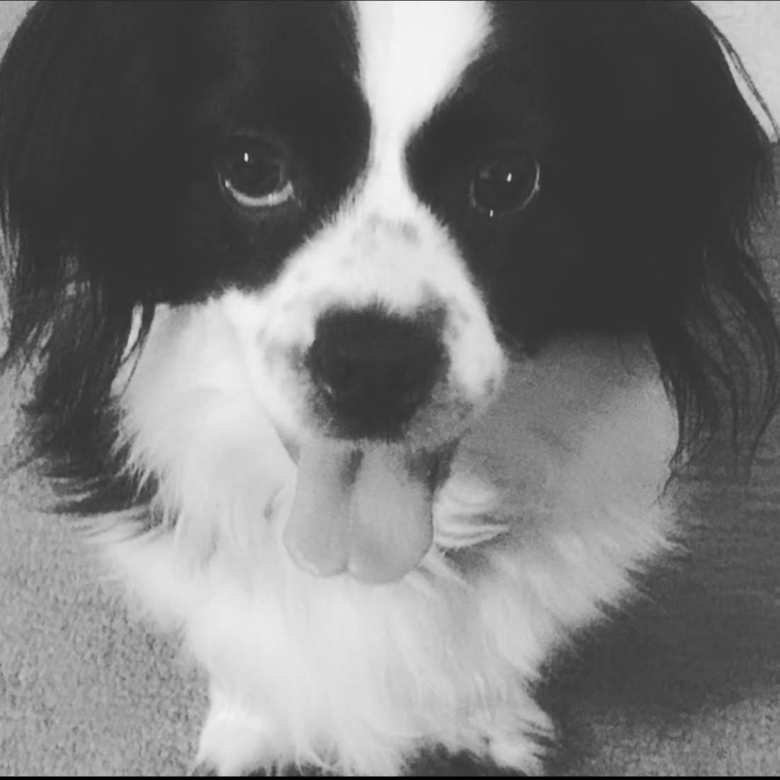 Post from amanda silvera