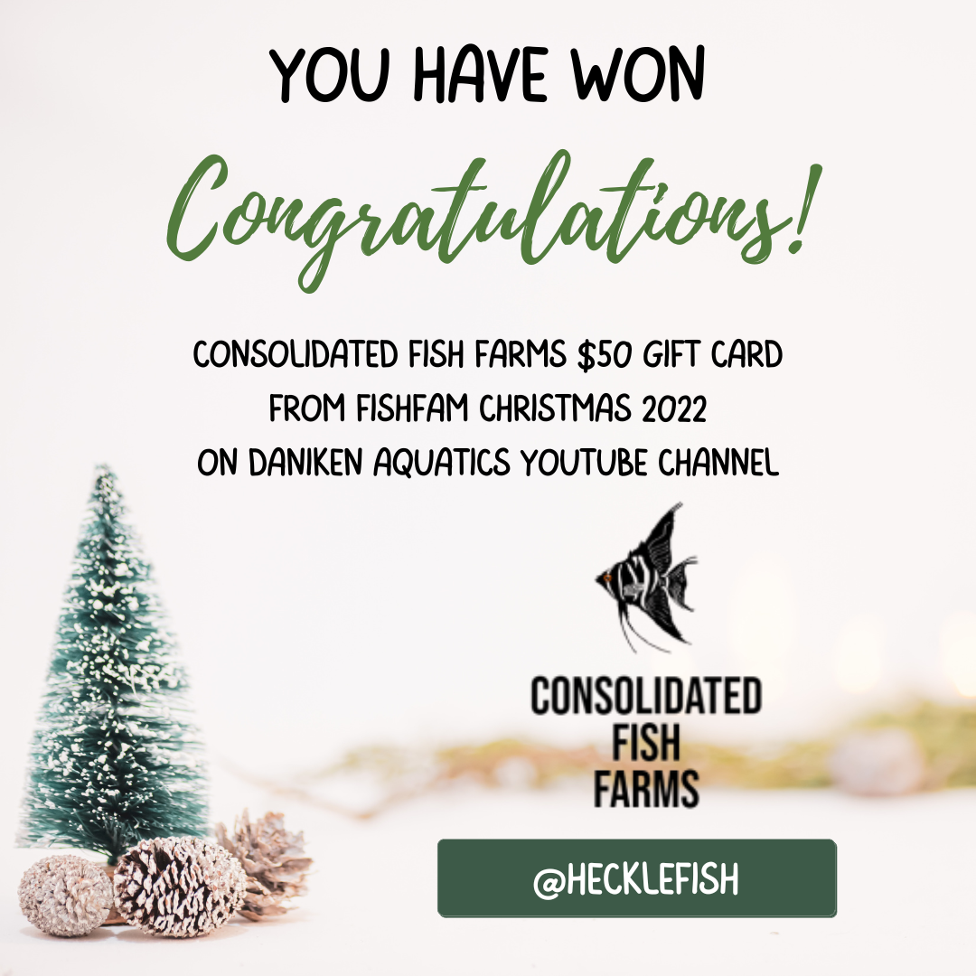 Post from FishFam Christmas
