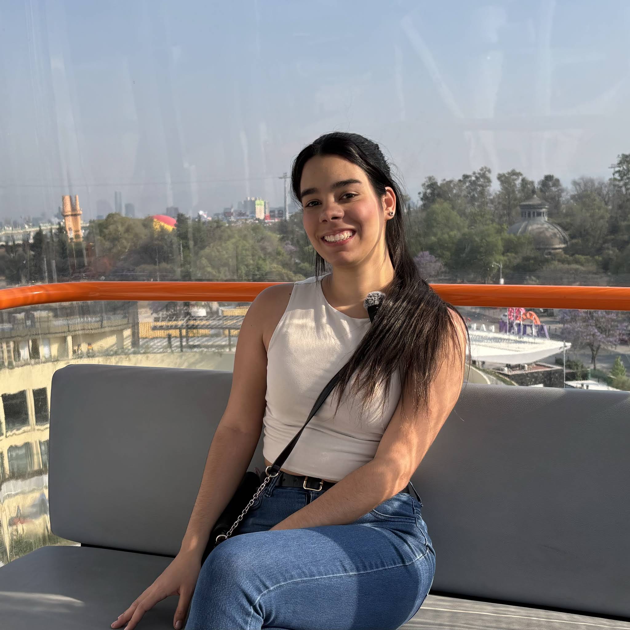 Post from Alita's World