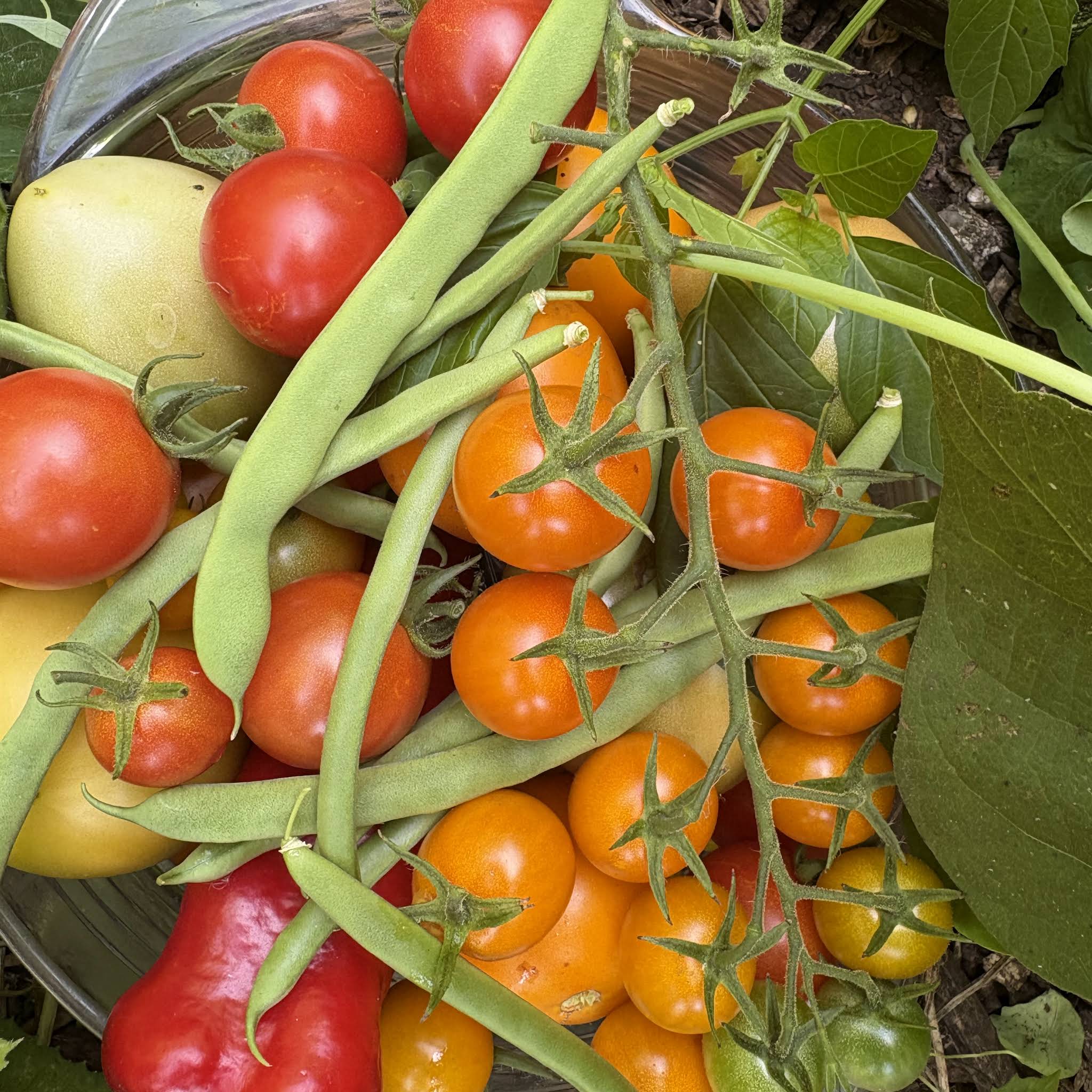 Post from Parkrose Permaculture