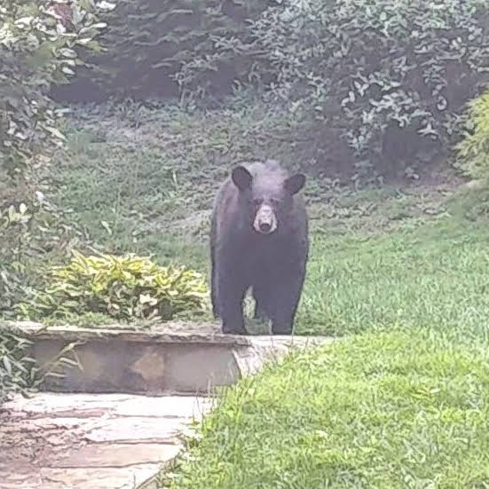 Post from Patrick Conley