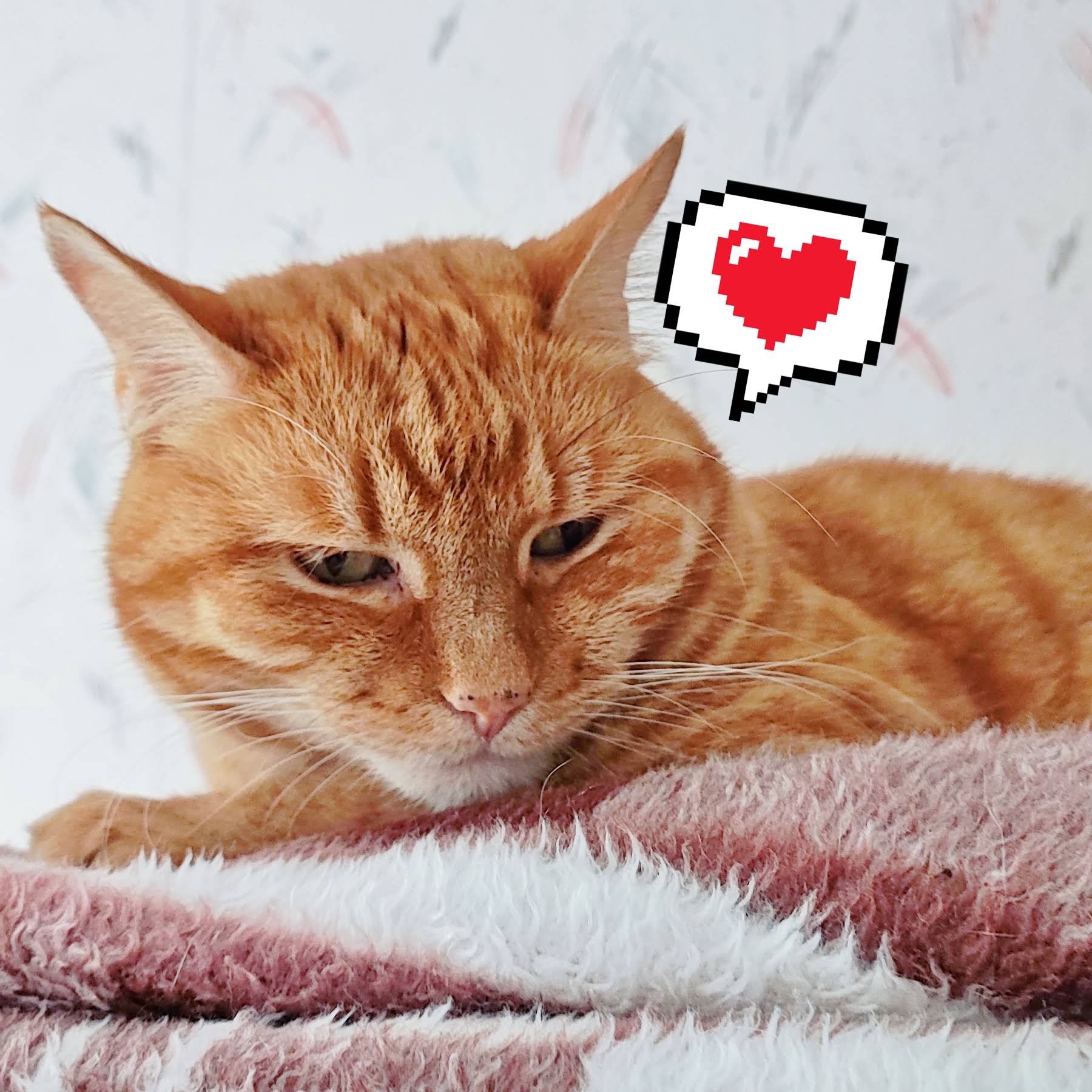 Post from Slashterpiece Gaming