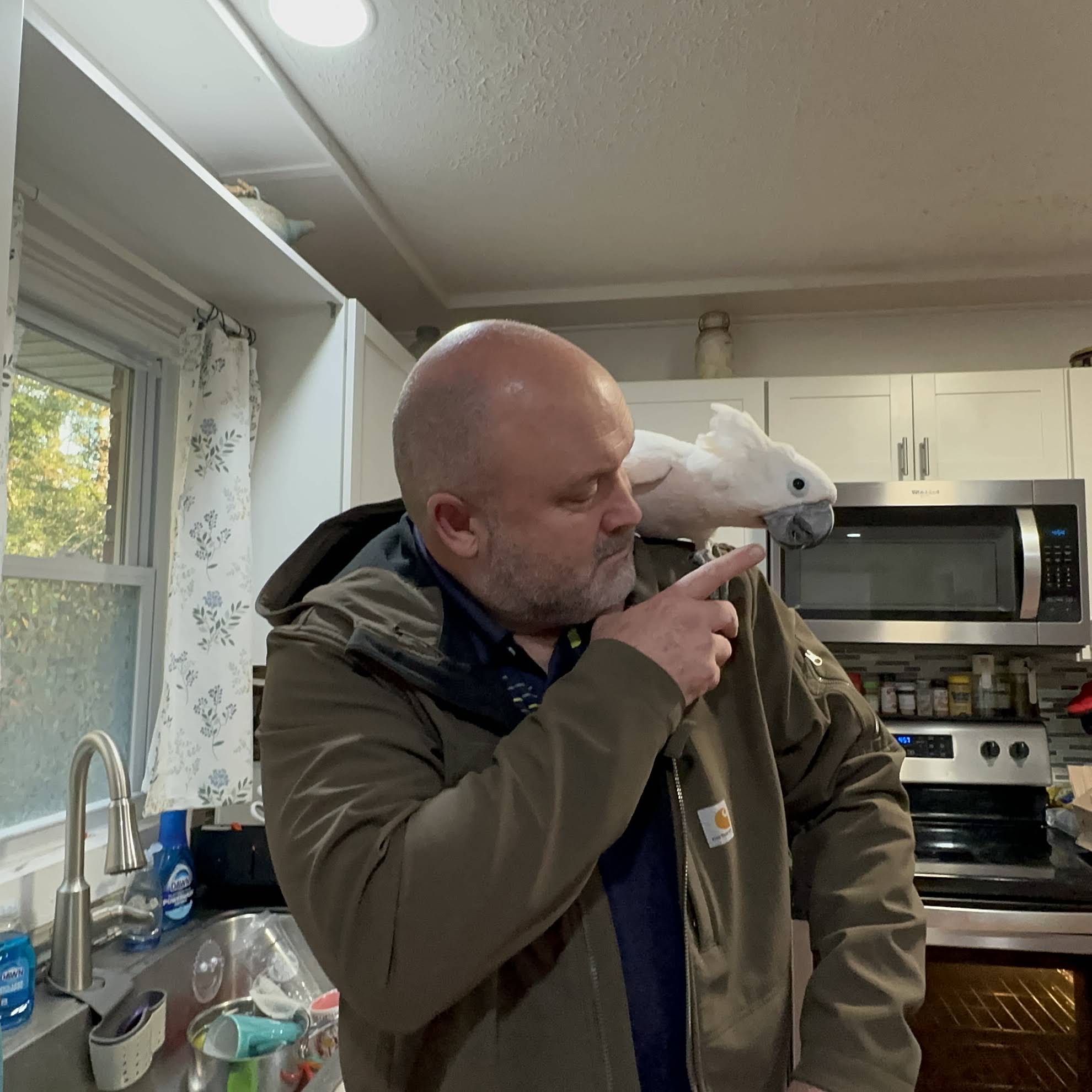 Post from Buster The Cockatoo