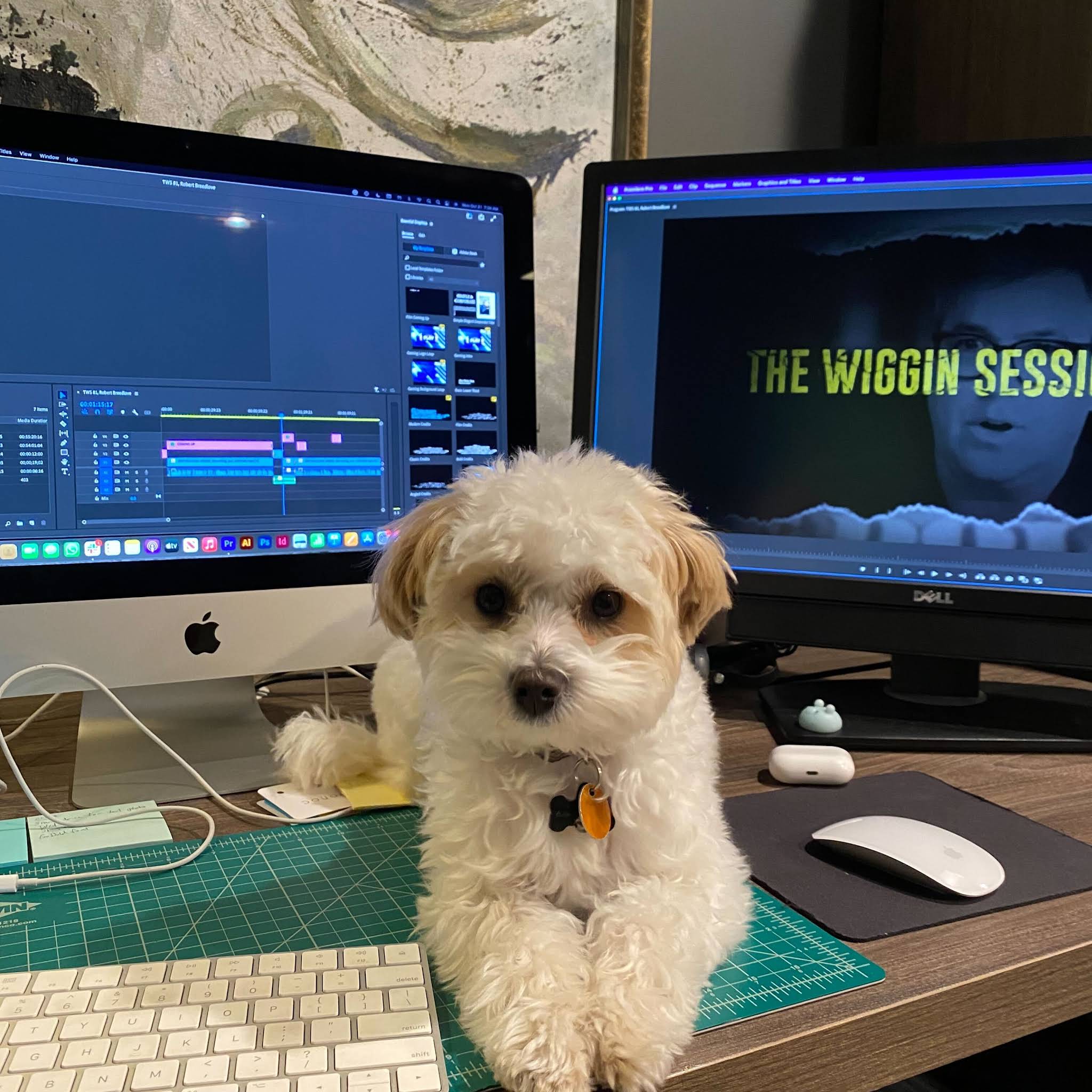 Post from The Wiggin Sessions