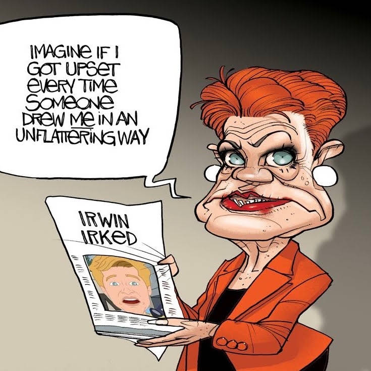 Post from Pauline Hanson's Please Explain