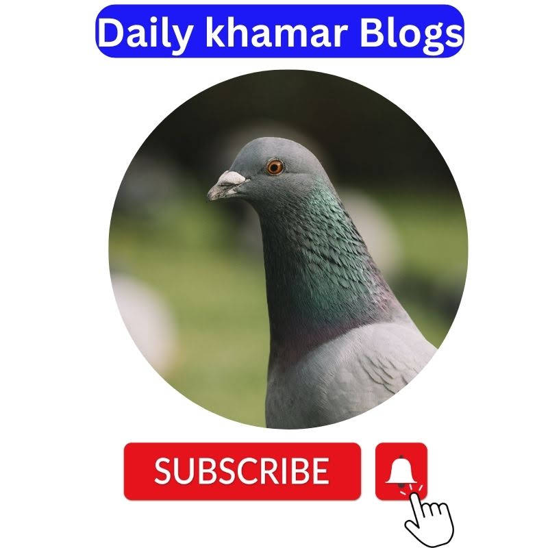 Post from Daily Khamar Blogs