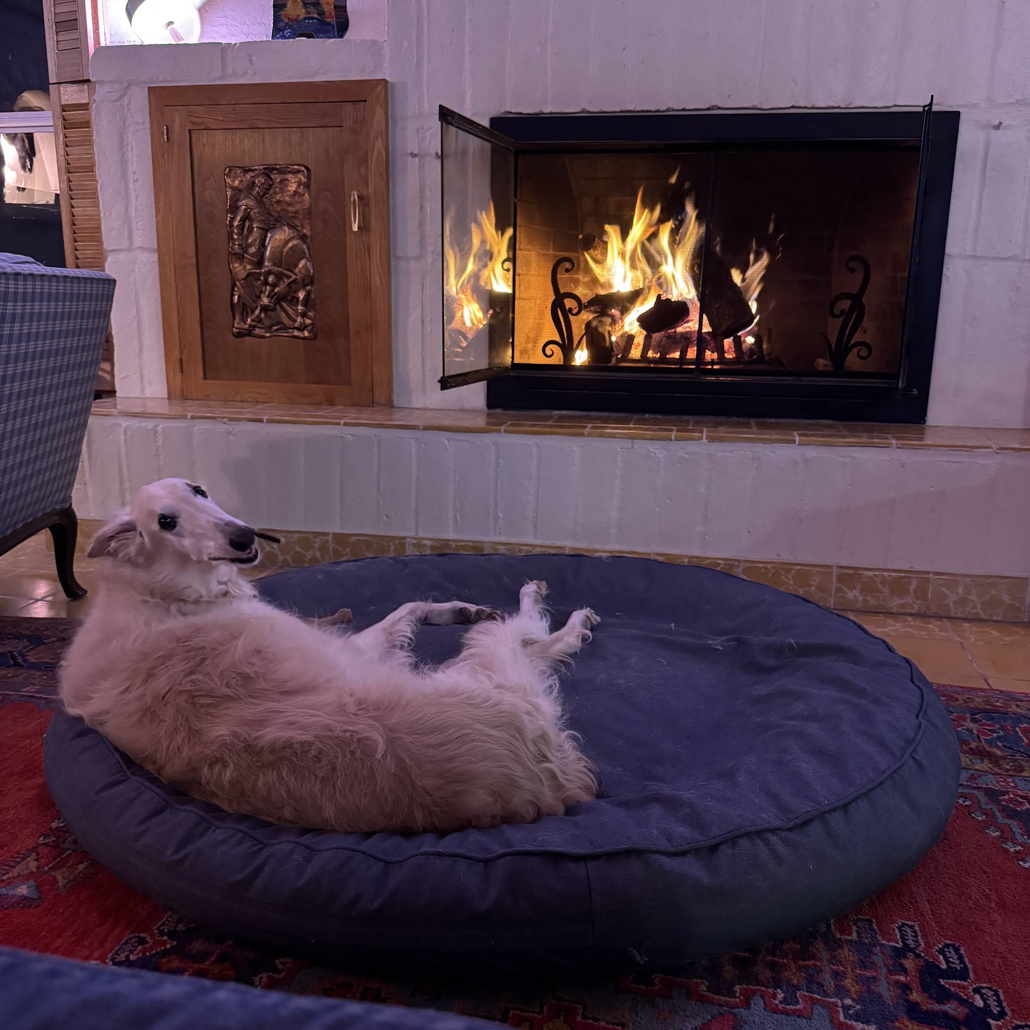 Post from Jacob Chattman (Esperborzoi)