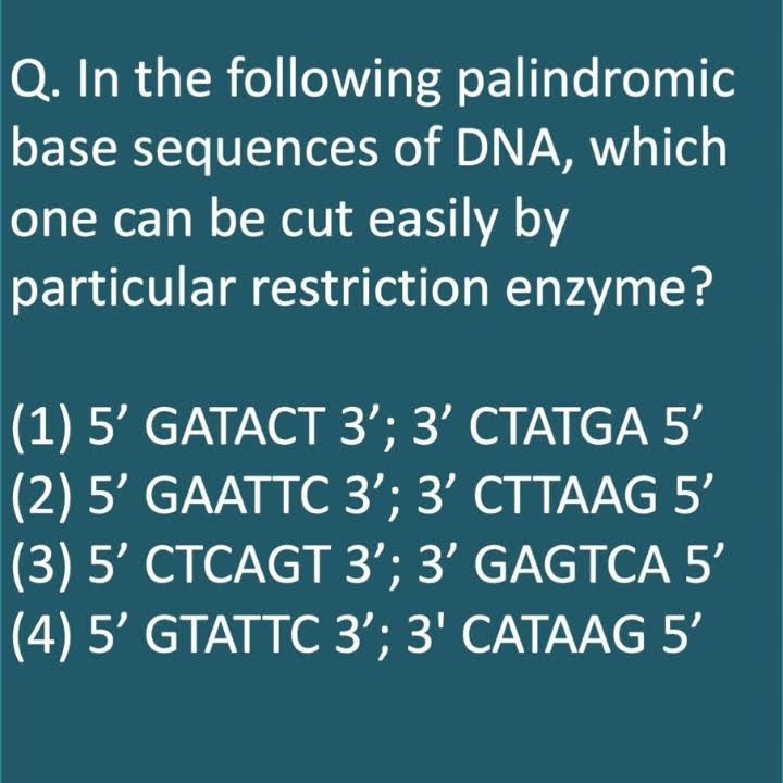 Post from Biofairy Ritu Rattewal