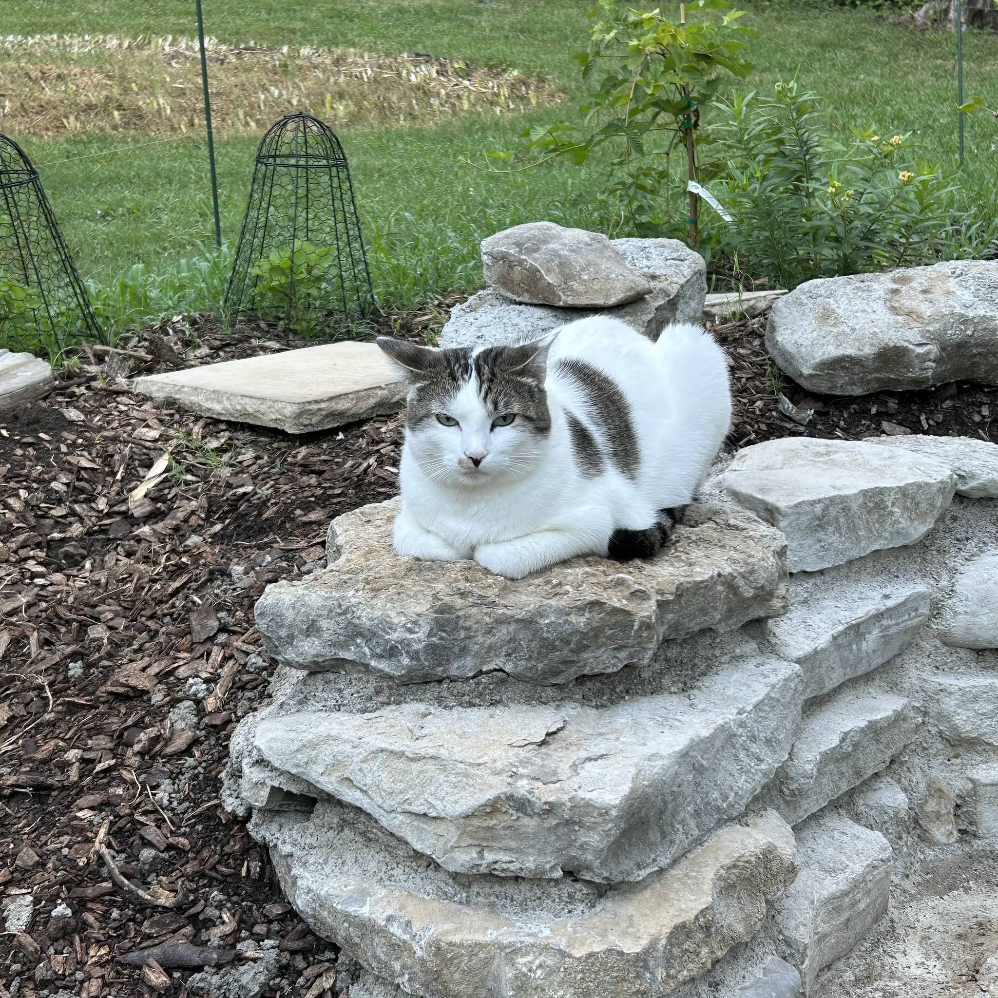 Post from Kaye Kittrell Late Bloomer