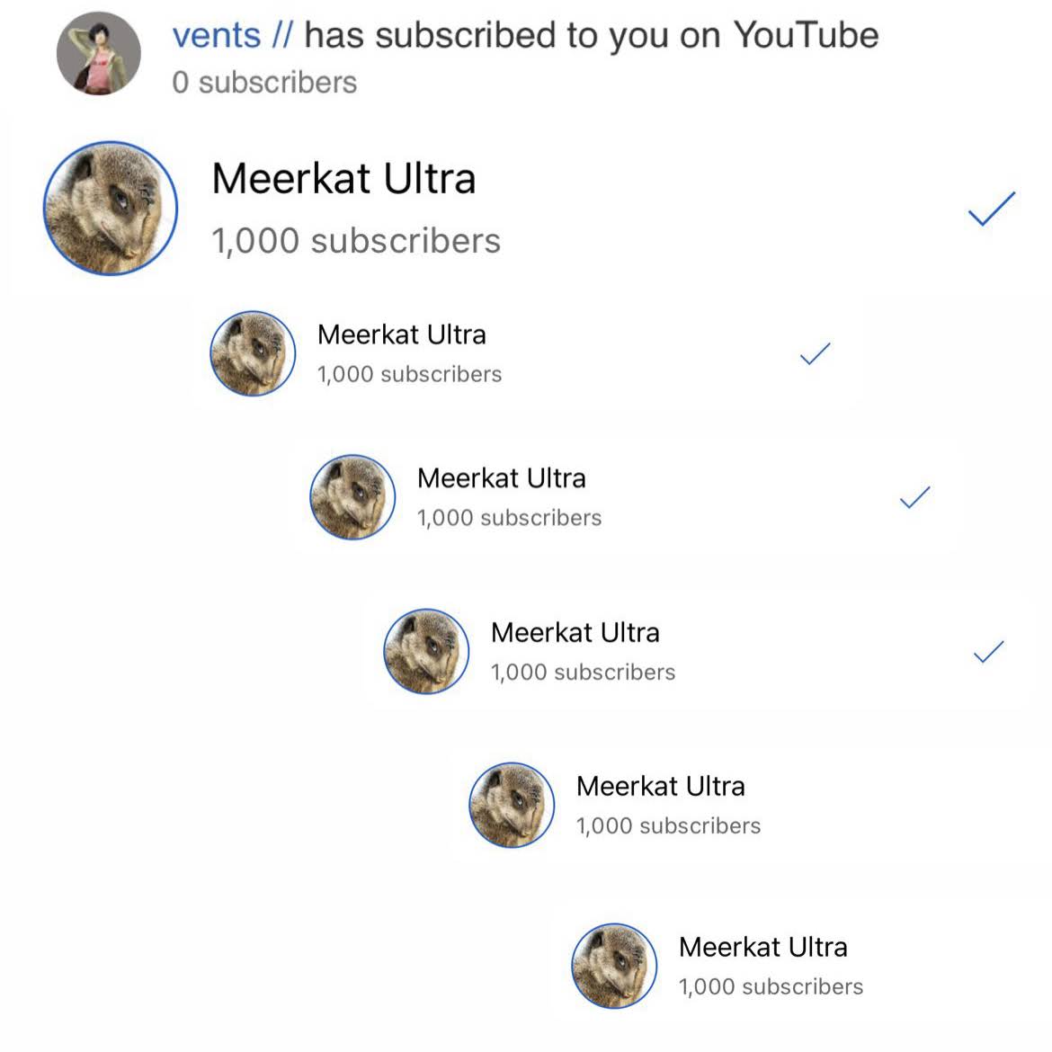 Post from Meerkat Ultra