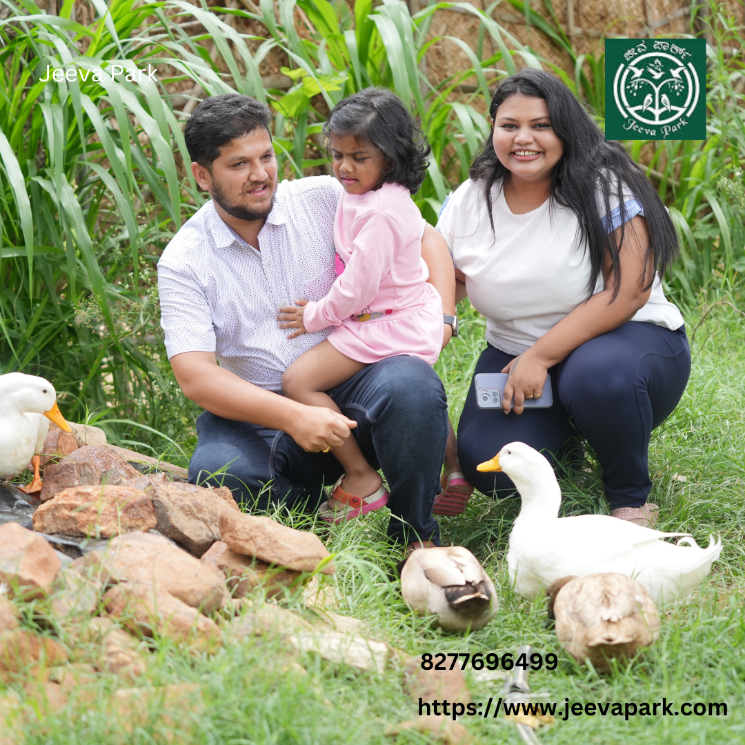 Post from Jeeva Park