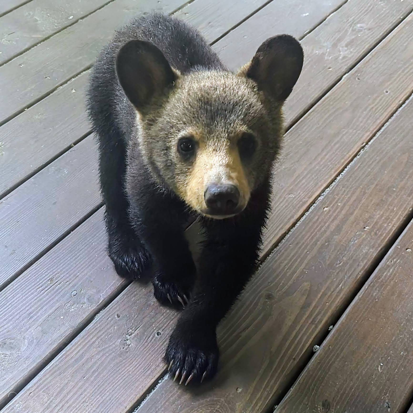 Post from Patrick Conley