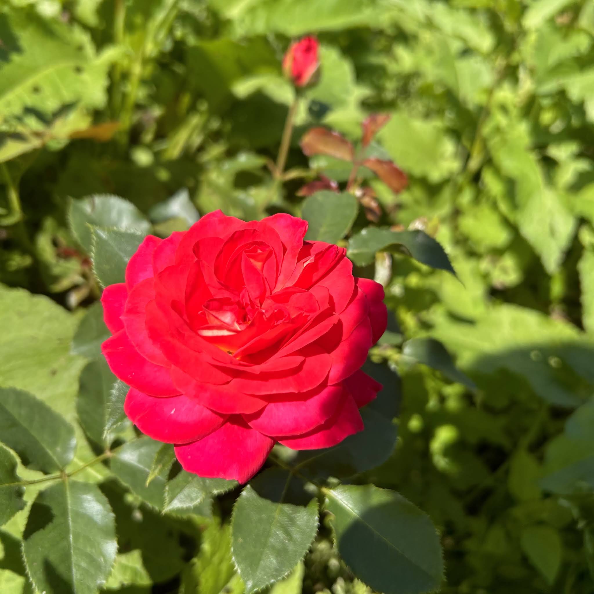 Post from KAREGLAZKA