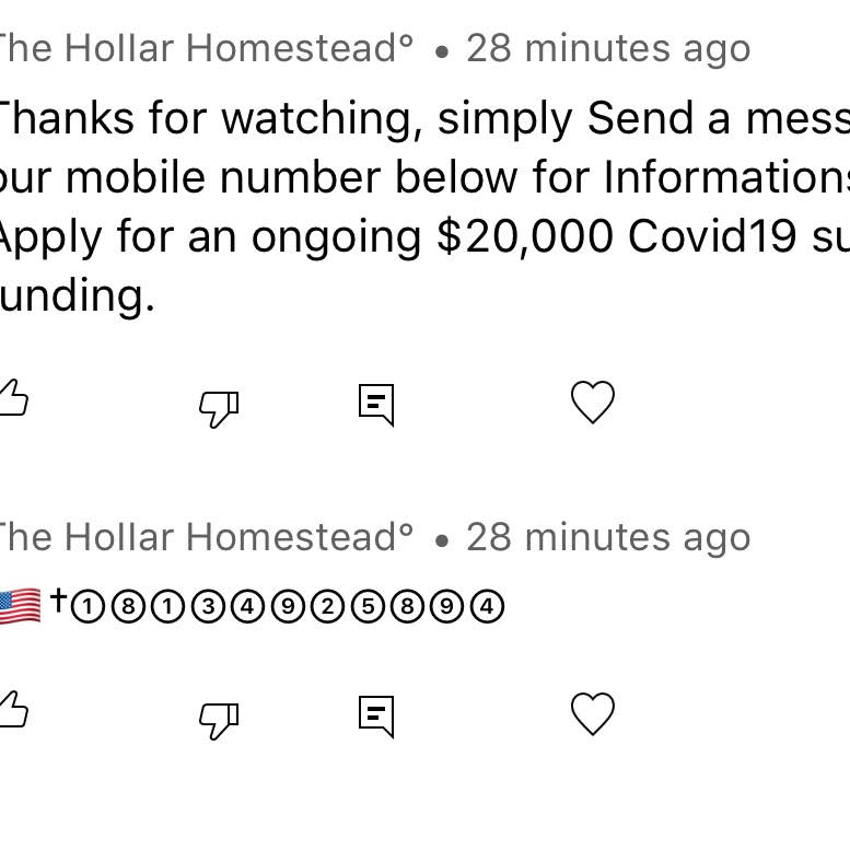 Post from The Hollar Homestead