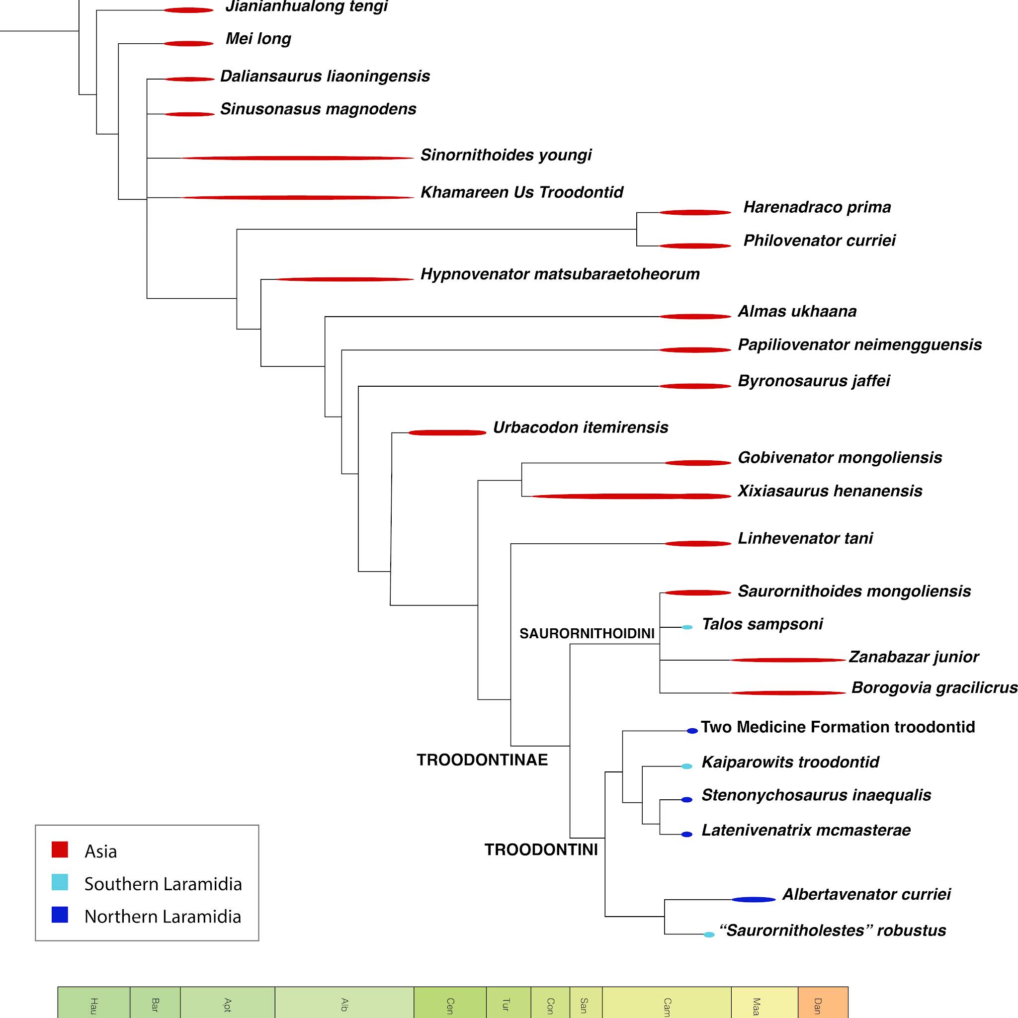 Post from Nick Longrich Evolution and Paleontology