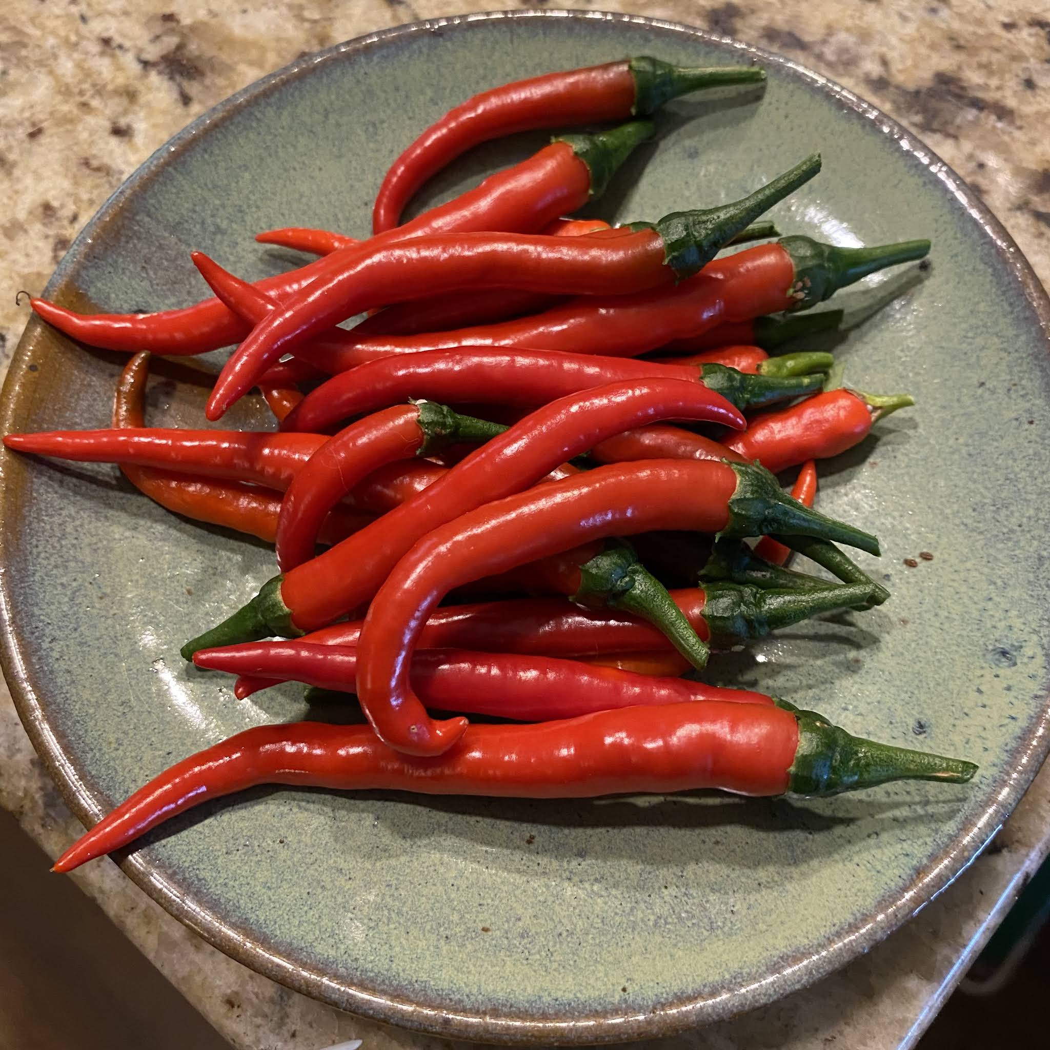 Post from Kaye Kittrell Late Bloomer