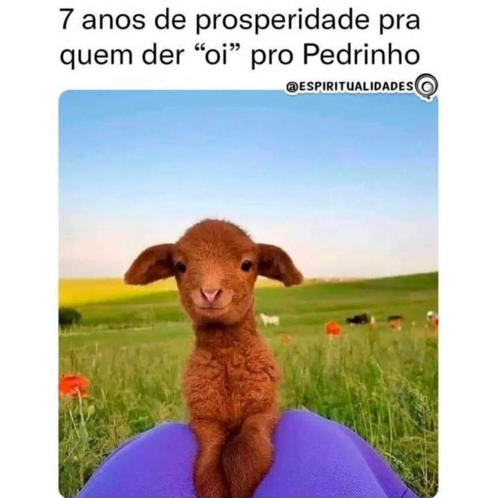 Post from Rato Dos Memes