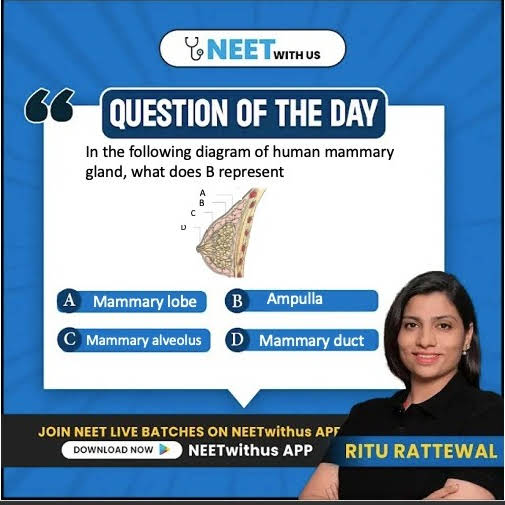 Post from Biofairy Ritu Rattewal