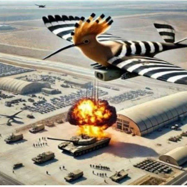 Post from Sulawesi Group