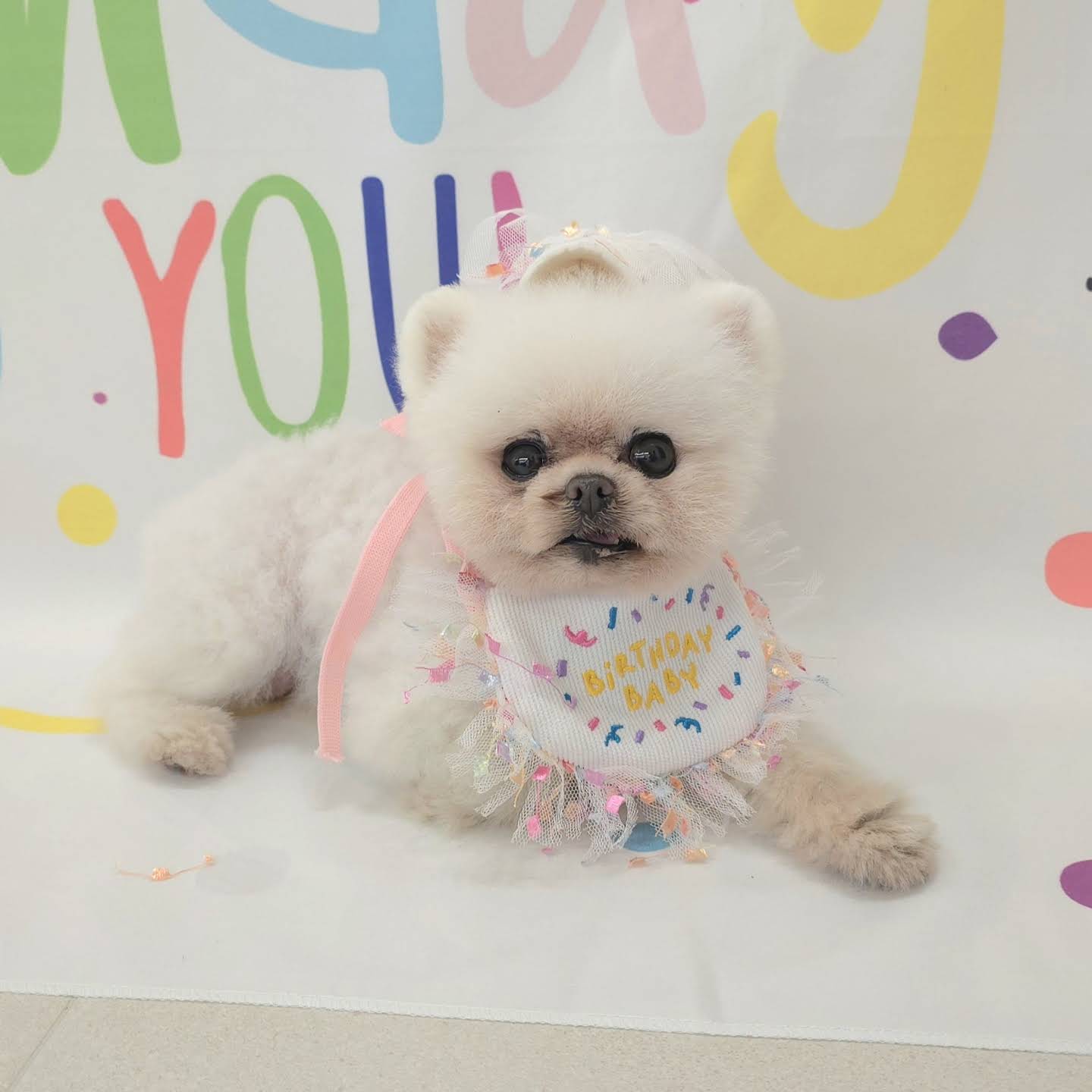 Post from [THE SOY] RuPong house