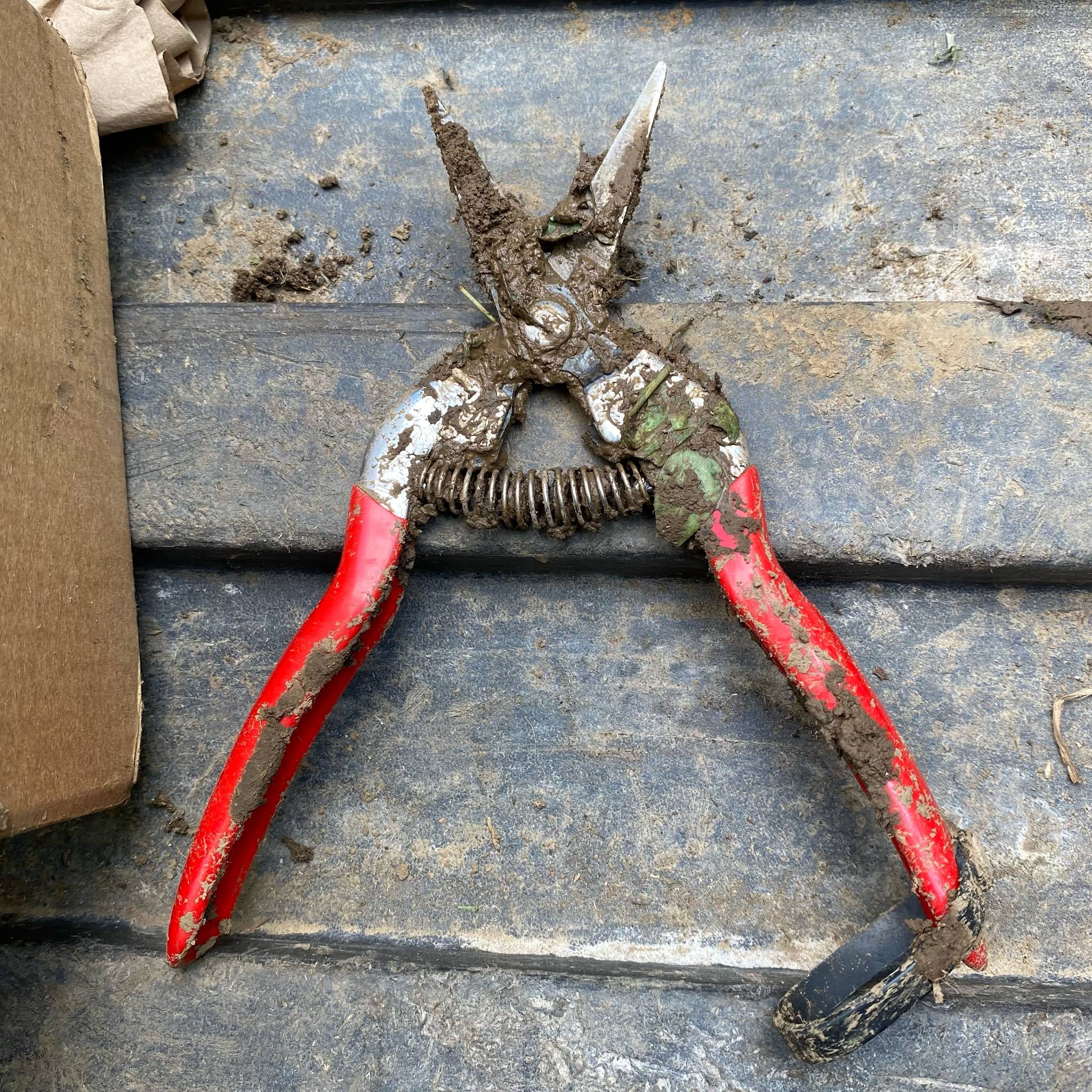 Post from Kaye Kittrell Late Bloomer